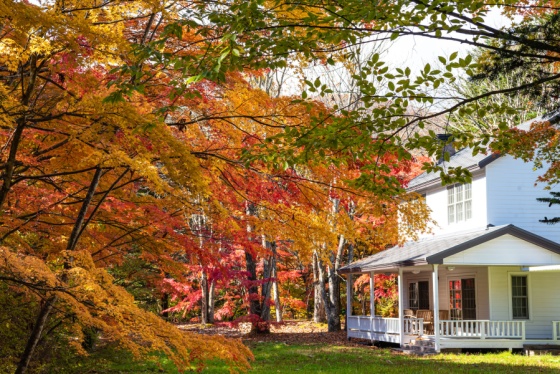3 Tips for Picking up Leaves this Fall | Capstone Homes